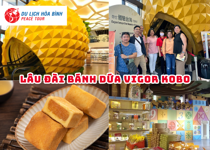 Vigor Kobo – Trải nghiệm làm bánh tại Lâu đài Dứa Vàng Đài Loan